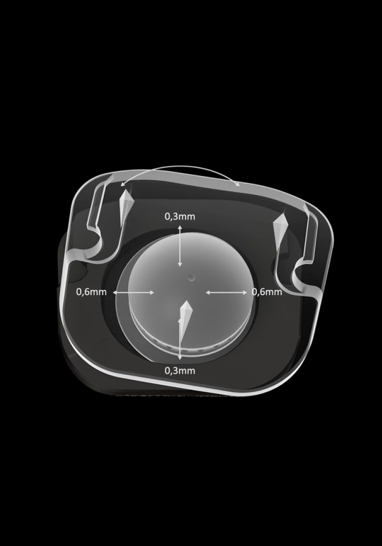 BAGUERA® C - Spineart
