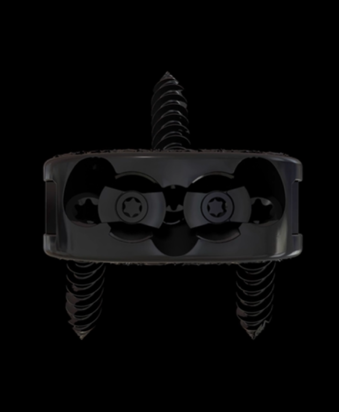 SCARLET® AL-T - Spineart