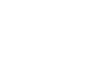 PERLA® PLATFORM - Spineart
